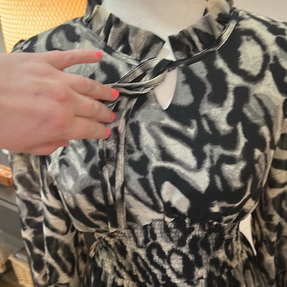 Toleen | Dresses | Nwt Toleen Animal Print Maxi Dress Chiffon Sheer ...